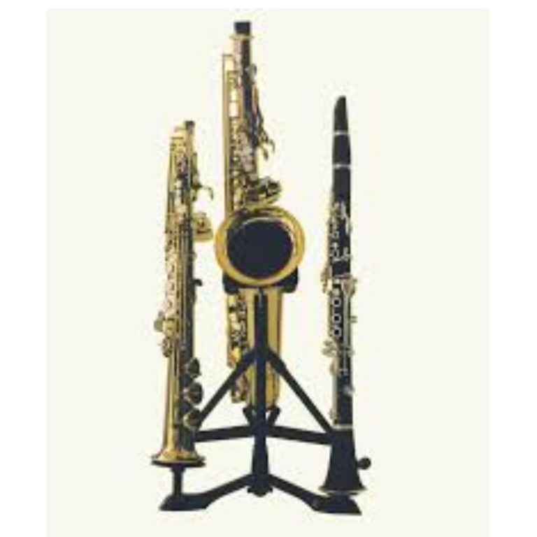 Lazer-Alto Sax +Clarinet & Flute Stand w/Bag (WS028A-1), Hobbies & Toys ...