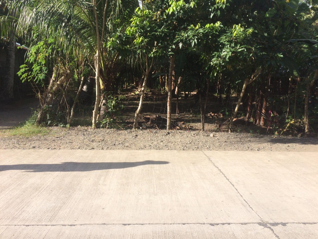 3,016 SQUARE METERS LOT FOR SALE IN BRGY RESERVA, BALER, AURORA ...