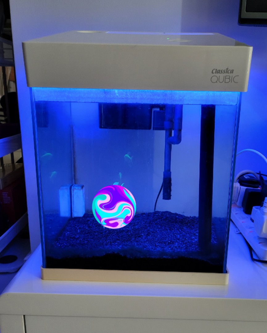 Classic Qubic tank, Pet Supplies, Homes & Other Pet Accessories on ...