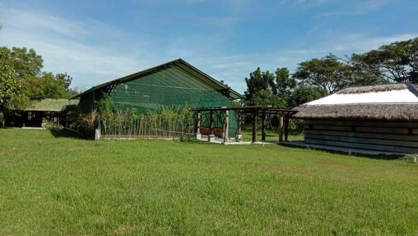 Developed Farm in Pampanga for Sale, Property, For Sale, Commercial on ...