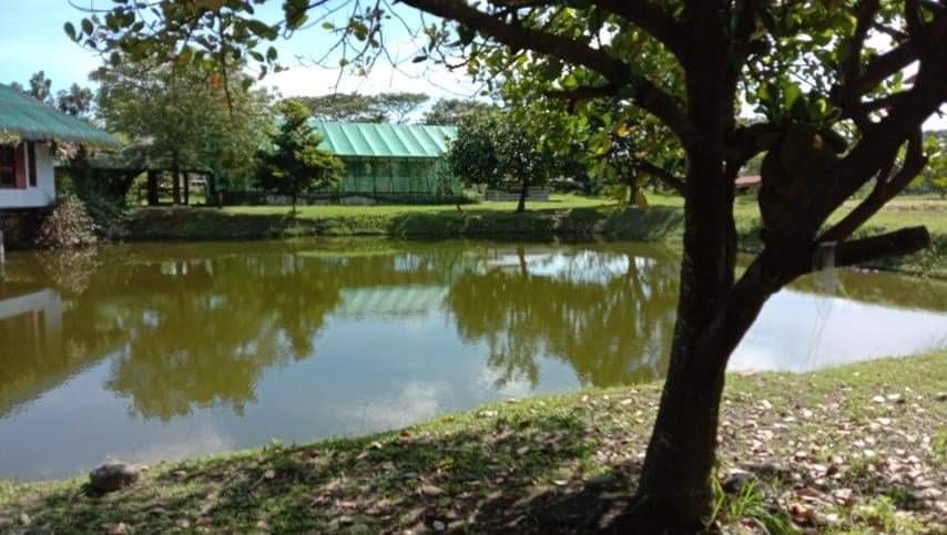 Developed Farm in Pampanga for Sale, Property, For Sale, Commercial on ...
