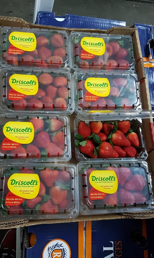 Driscolls strawberries 454g x 8, Food & Drinks, Fresh Produce on Carousell