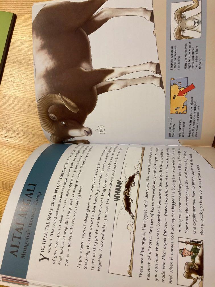 Lesser spotted animals 2 (Martin Brown), Hobbies & Toys, Books ...