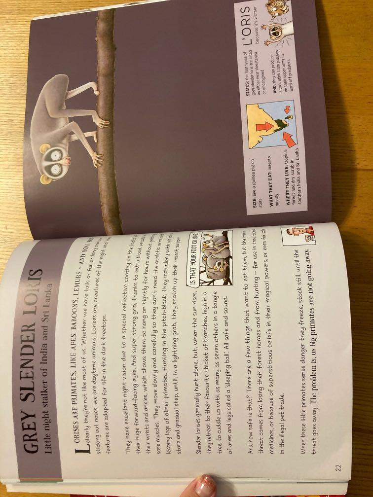 Lesser spotted animals 2 (Martin Brown), Hobbies & Toys, Books ...