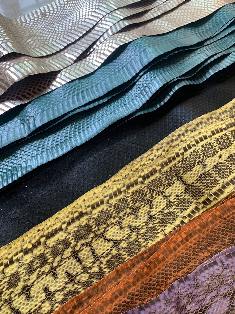 Real Snake skin Multi Colours, Hobbies & Toys, Stationery & Craft ...