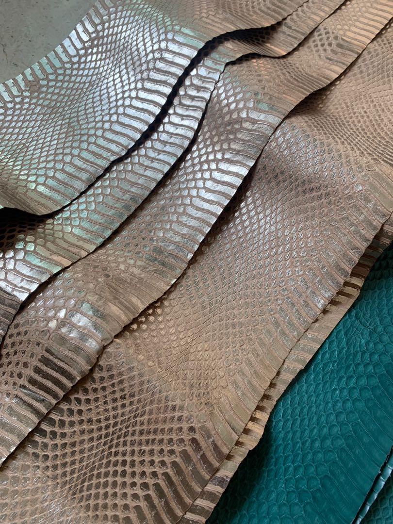 Real Snake skin Multi Colours, Hobbies & Toys, Stationery & Craft ...