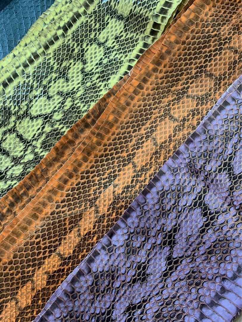 Real Snake skin Multi Colours, Hobbies & Toys, Stationery & Craft ...