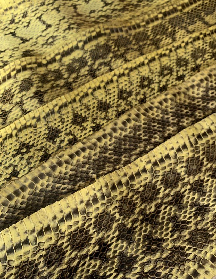 Real Snake skin Multi Colours, Hobbies & Toys, Stationery & Craft ...
