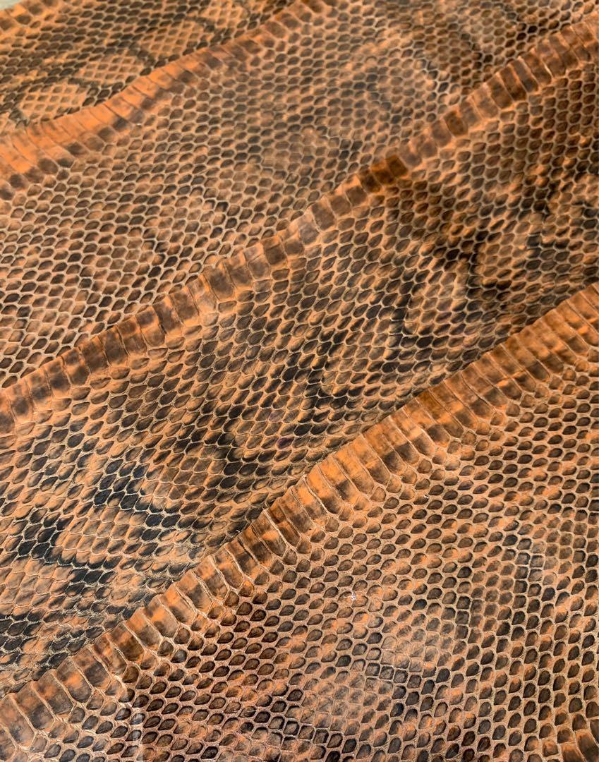 Real Snake skin Multi Colours, Hobbies & Toys, Stationery & Craft ...