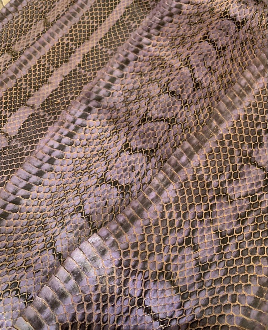 Real Snake skin Multi Colours, Hobbies & Toys, Stationery & Craft ...