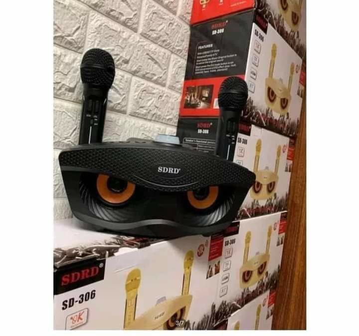 SDRD SD-306 Wireless Bluetooth Dual Microphone Karaoke Portable 3D ...