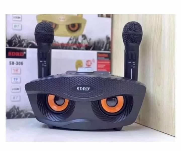 SDRD SD-306 Wireless Bluetooth Dual Microphone Karaoke Portable 3D Stereo Speaker mic., Audio ...