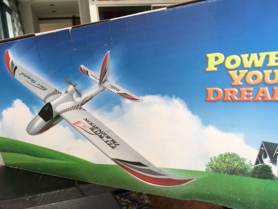 Sky Surfer RC Plane, Hobbies & Toys, Toys & Games on Carousell