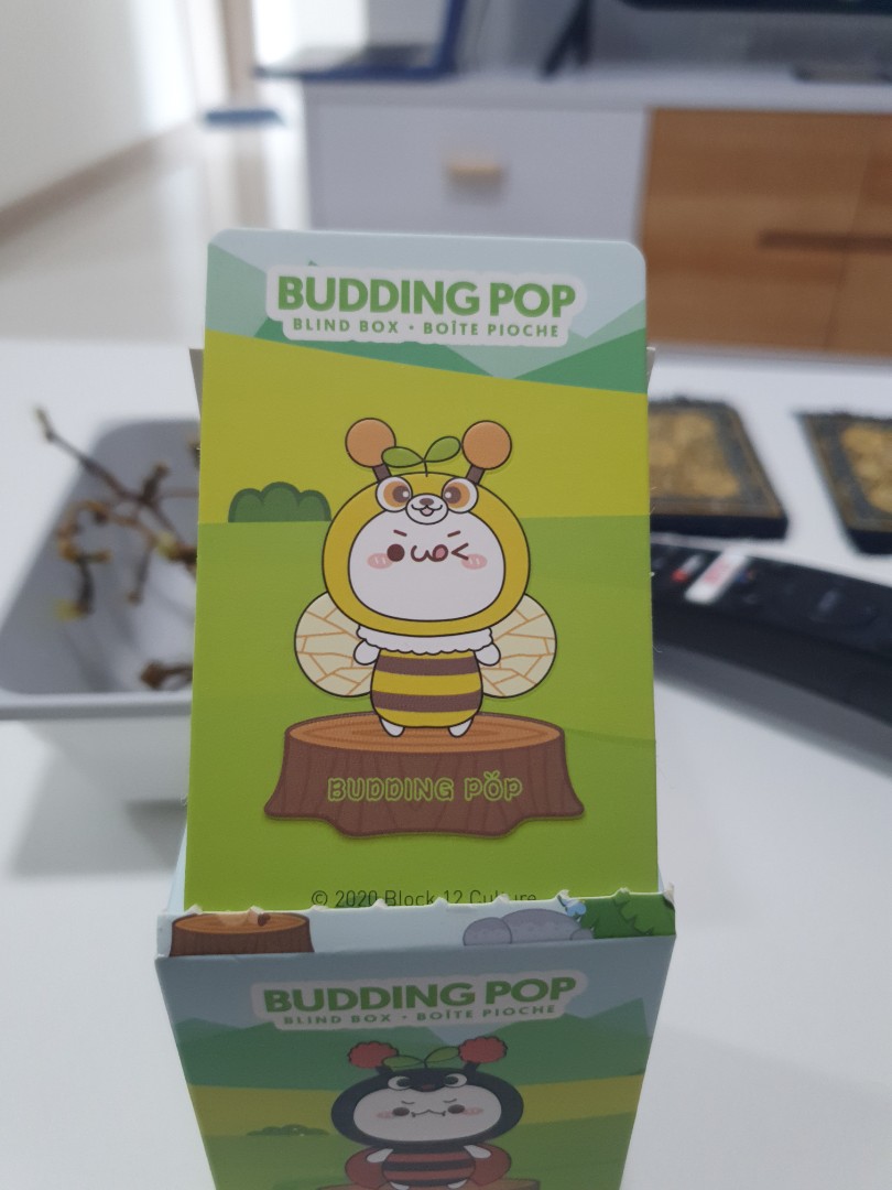 Budding POP Blind Box Boite Pioche, Hobbies & Toys, Toys & Games on ...