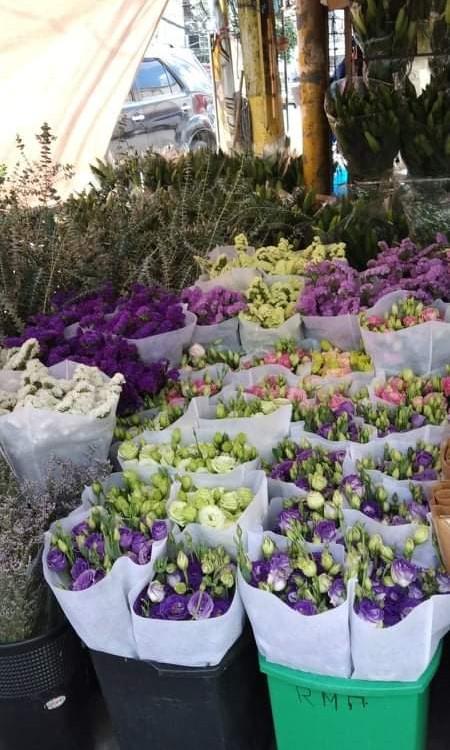 Dangwa Flower Market Contact Number | Best Flower Site