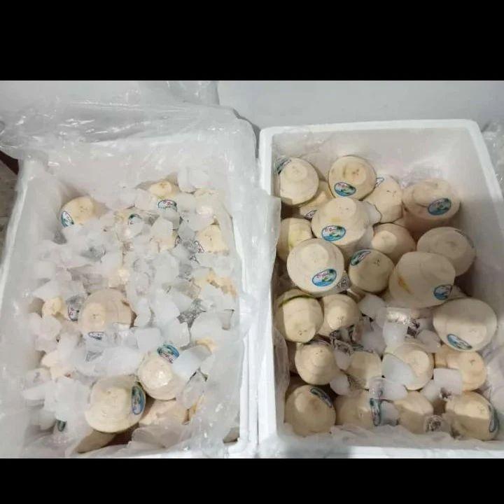 Degan Jelly Original, Makanan & Minuman, Makanan Instan di Carousell