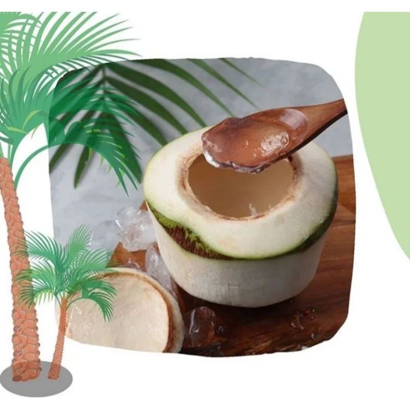 Degan Jelly Original, Makanan & Minuman, Makanan Instan di Carousell