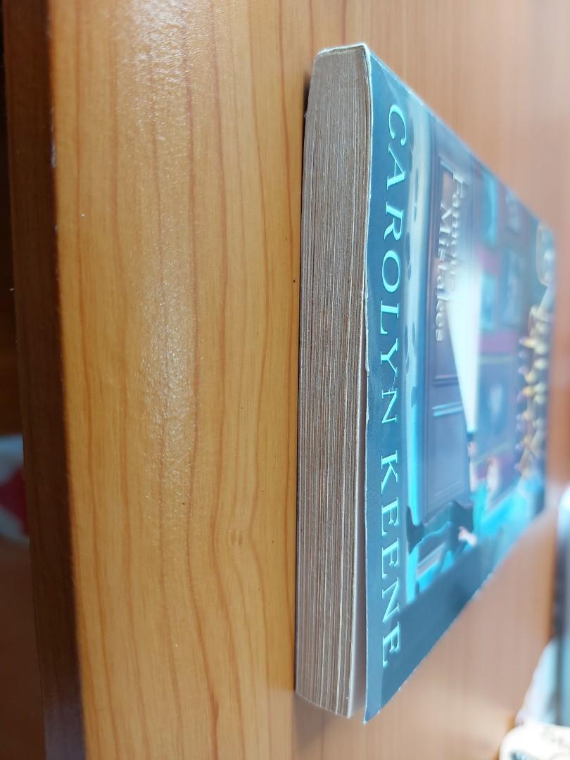 Nancy Drew Diaries - The Stolen Show / Famous Mistakes, Hobbies & Toys ...