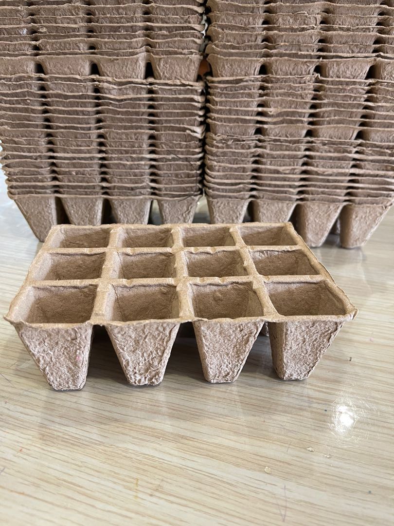 Paper pulp seed germination, paper pot, Furniture & Home Living ...