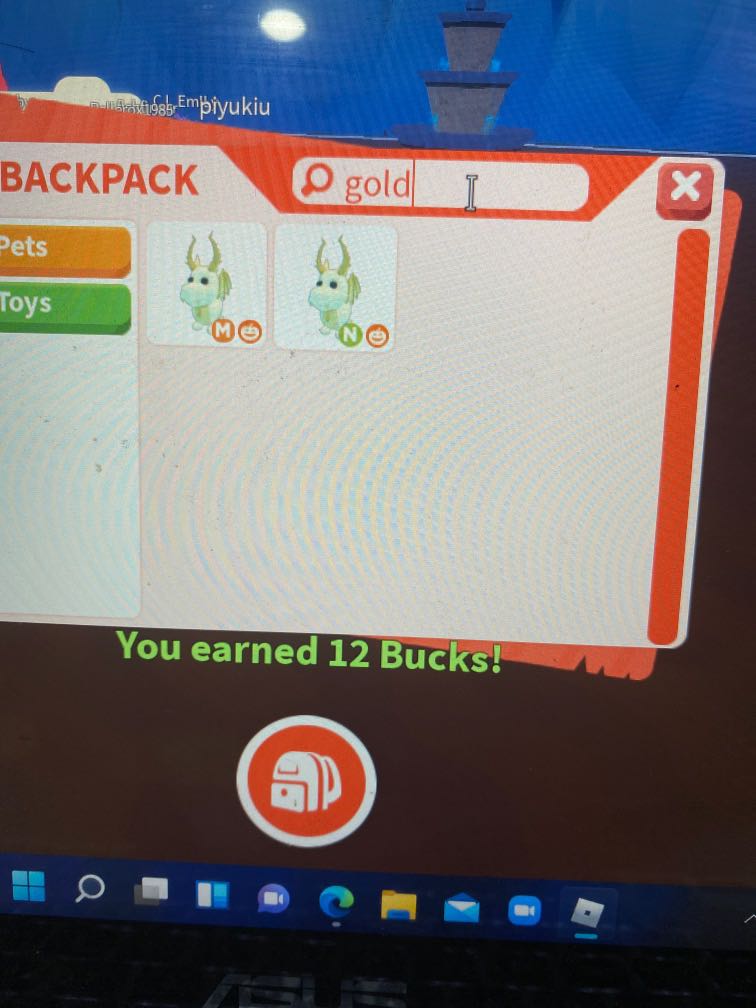 Read description!! Adopt me custom pets, Video Gaming, Gaming ...