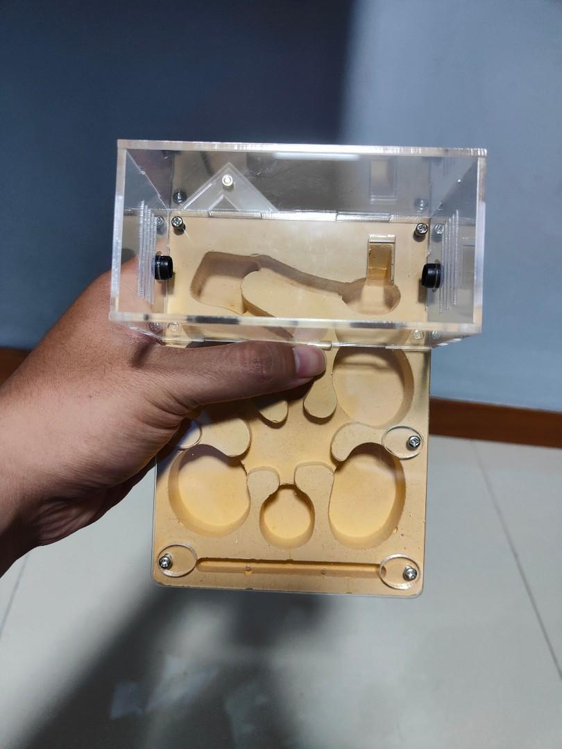Ants formicarium home clay, Pet Supplies, Homes & Other Pet Accessories ...