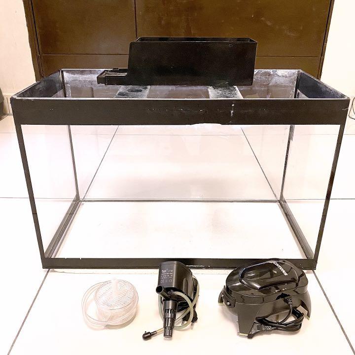 Aquarium 2ft Tall Tank, Pet Supplies, Homes & Other Pet Accessories on ...