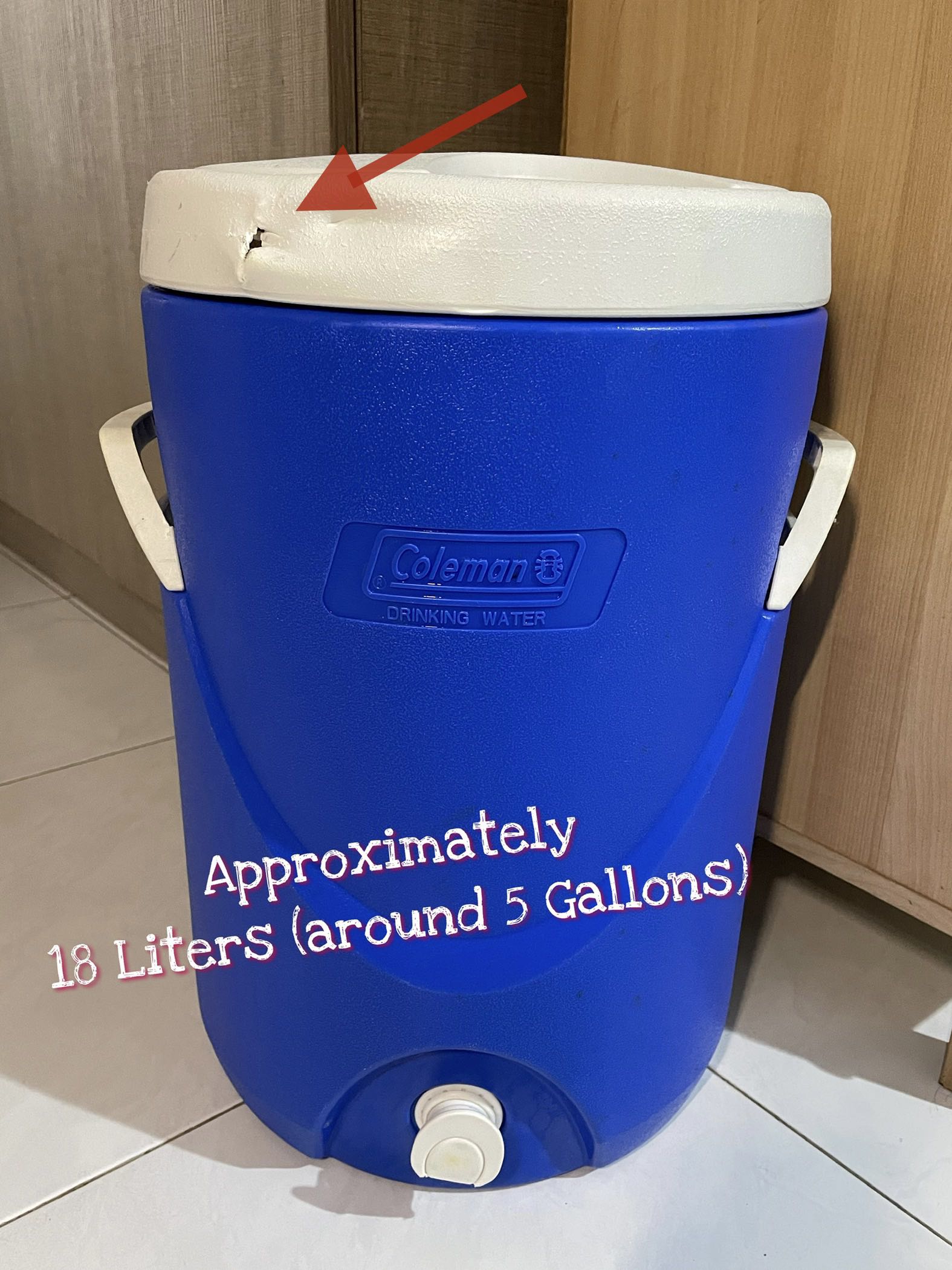 Insulated Drink Cooler, Furniture & Home Living, Kitchenware ...