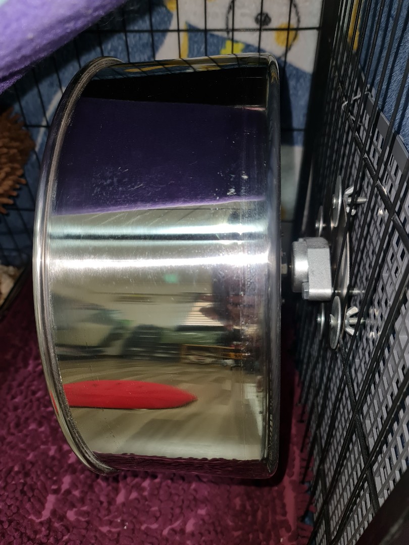 Metal Exercising Wheel, Pet Supplies, Homes & Other Pet Accessories on ...