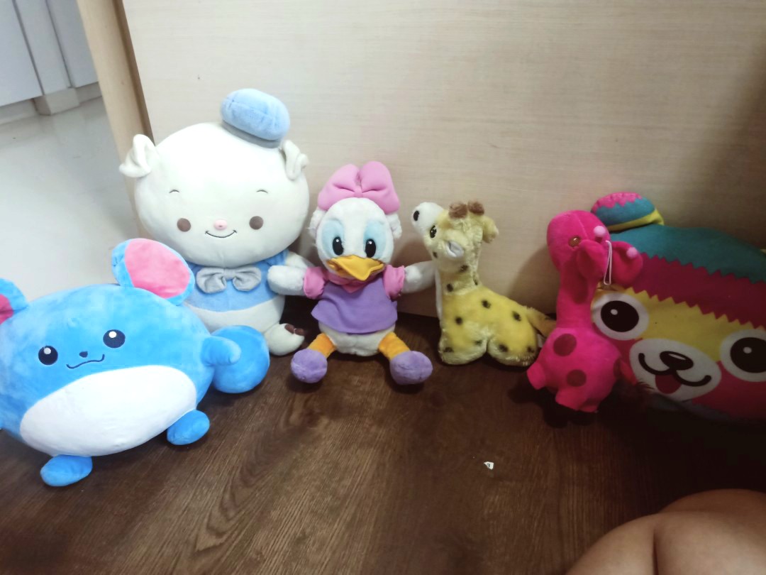 Smiggle rainbow pillow daisy duck pig rat girrafe Soft Toys, Hobbies ...