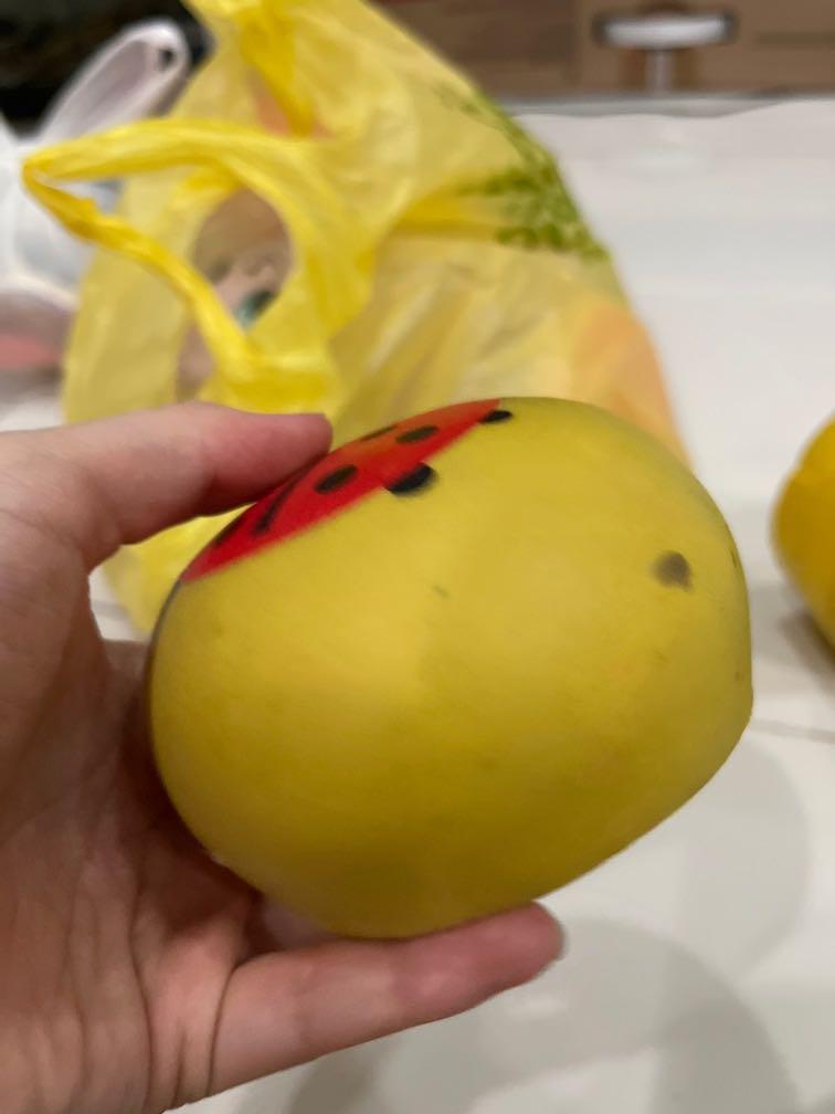 Ladybug Bun Squishy, Hobbies & Toys, Collectibles & Memorabilia ...