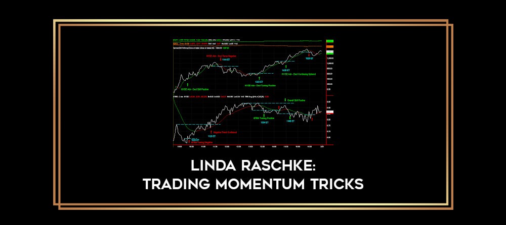 Linda Raschke : Trading Momentum Tricks, Services, Tuition on Carousell