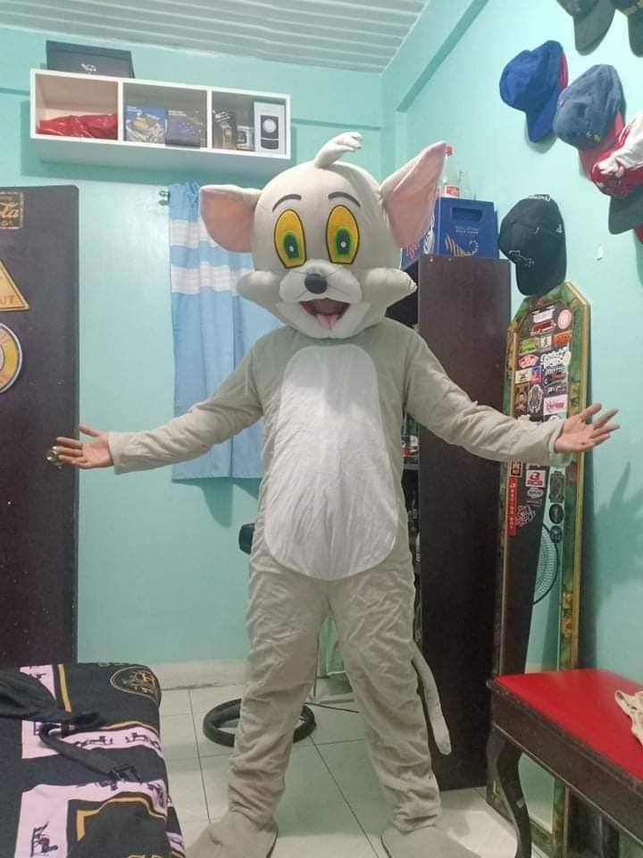 Tom mascot, Hobbies & Toys, Toys & Games on Carousell