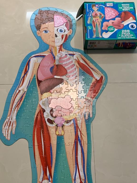 Sassi Science The Human Body Shaped Puzzle, Hobbies & Toys, Books ...