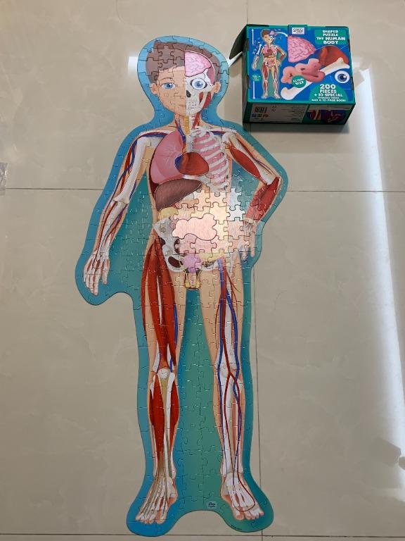 Sassi Science The Human Body Shaped Puzzle, Hobbies & Toys, Books ...