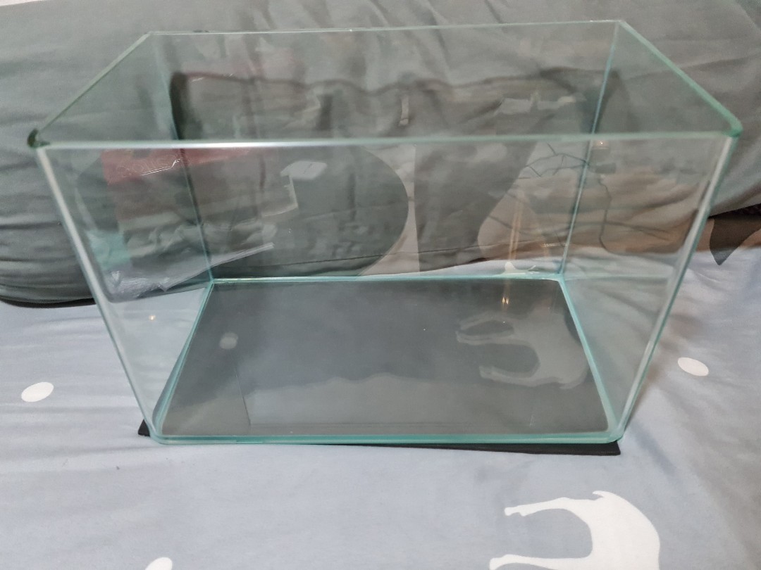 ~10L fish tank, Pet Supplies, Homes & Other Pet Accessories on Carousell