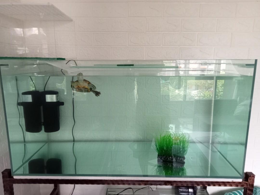 3 feet tank, Pet Supplies, Homes & Other Pet Accessories on Carousell