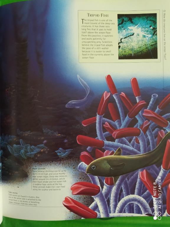 Amazing World around us -Encyclopedia of Discovery- EARTH, Hobbies ...