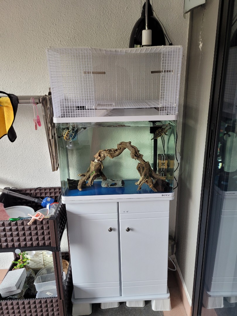 Boyu Ec600 fish tank 66L, Pet Supplies, Homes & Other Pet Accessories ...