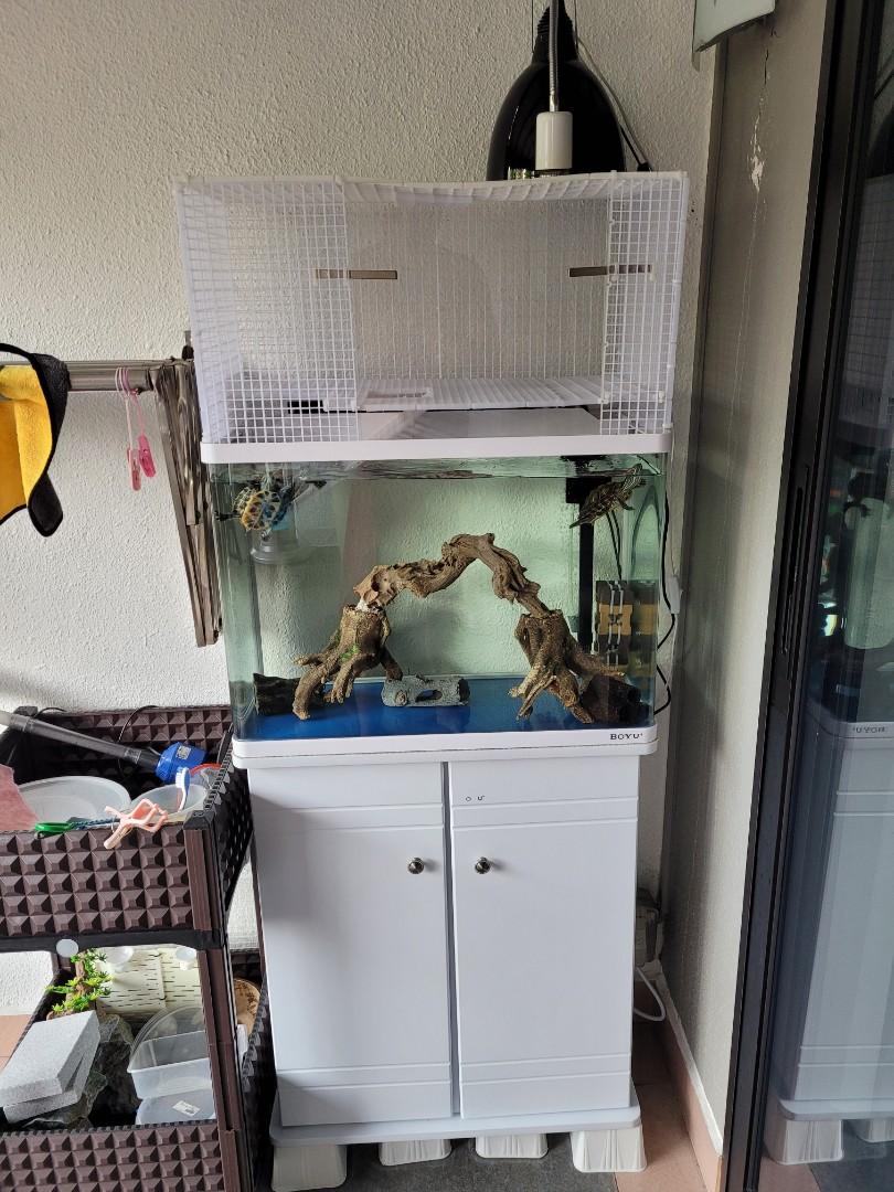 Boyu Ec600 fish tank 66L, Pet Supplies, Homes & Other Pet Accessories ...