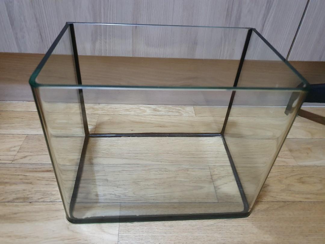 Curved Glass tank (22cm x 15cm x 17cm), Pet Supplies, Homes & Other Pet ...