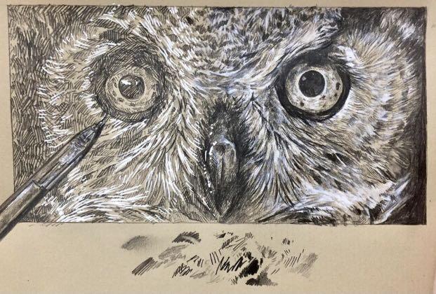 Custom Animal Drawings / Custom Pet Drawing, Hobbies & Toys, Stationery ...