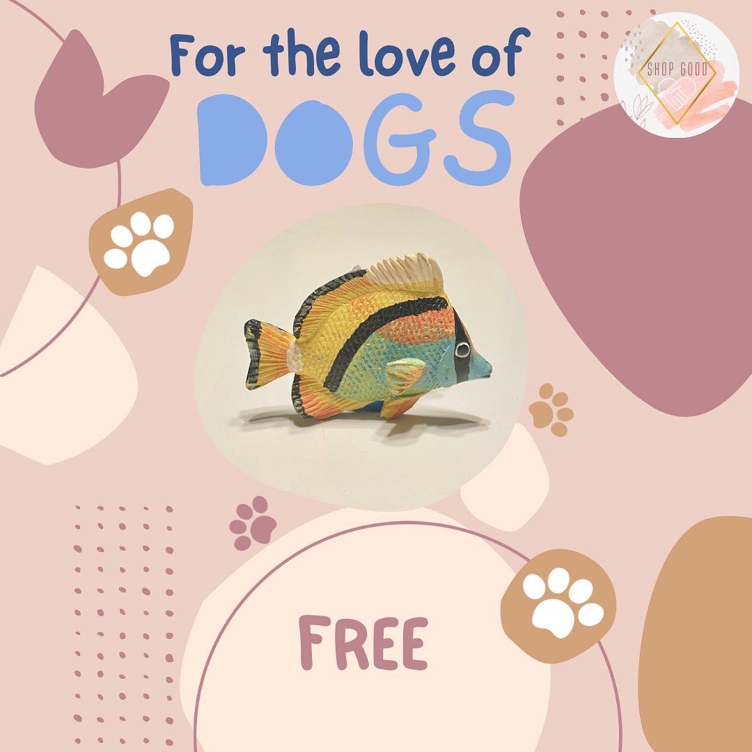 Free - Fish ref magnet, Furniture & Home Living, Home Decor, Other Home ...