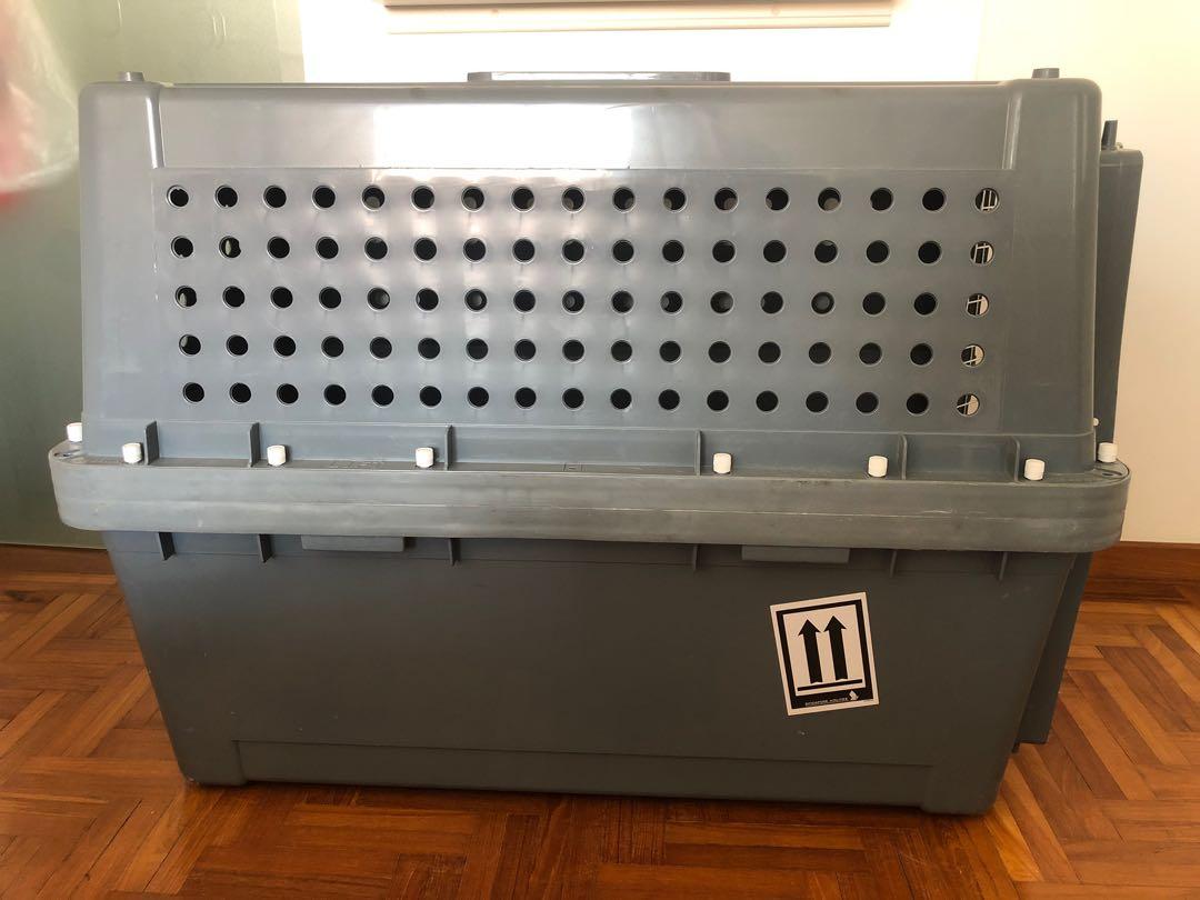 IATA Approved Pet Travel Crate PP70, Pet Supplies, Homes & Other Pet ...