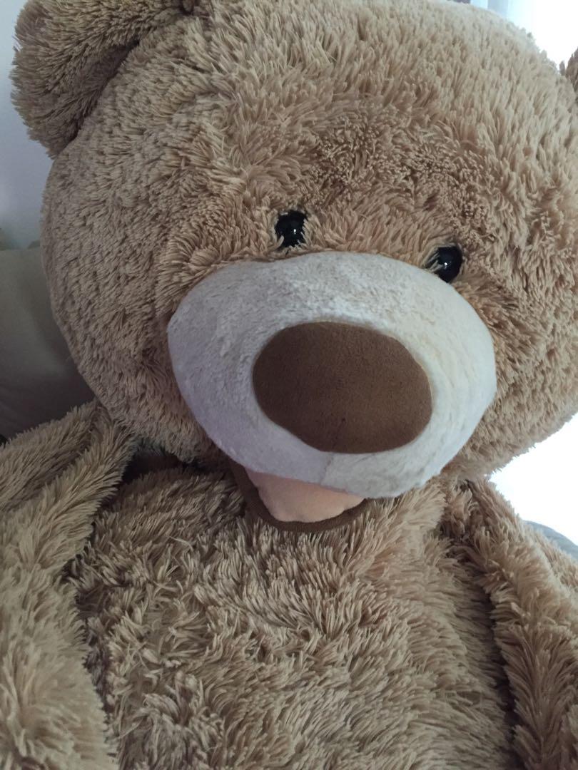 Life size Teddy bear, Hobbies & Toys, Toys & Games on Carousell