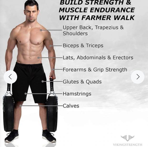 Vikingstrength Farmer Walk, Row, Bicep Curl, Gym attachment Handles ...