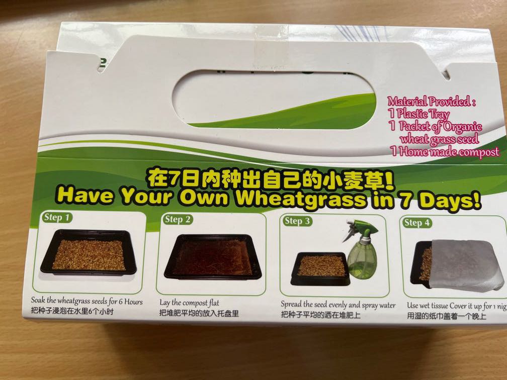 Wheat grass growing kit, Everything Else on Carousell