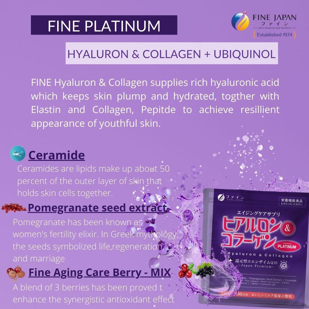FINE HYALURON & COLLAGEN PLATINUM 240G REFILL PACK, Health & Nutrition ...