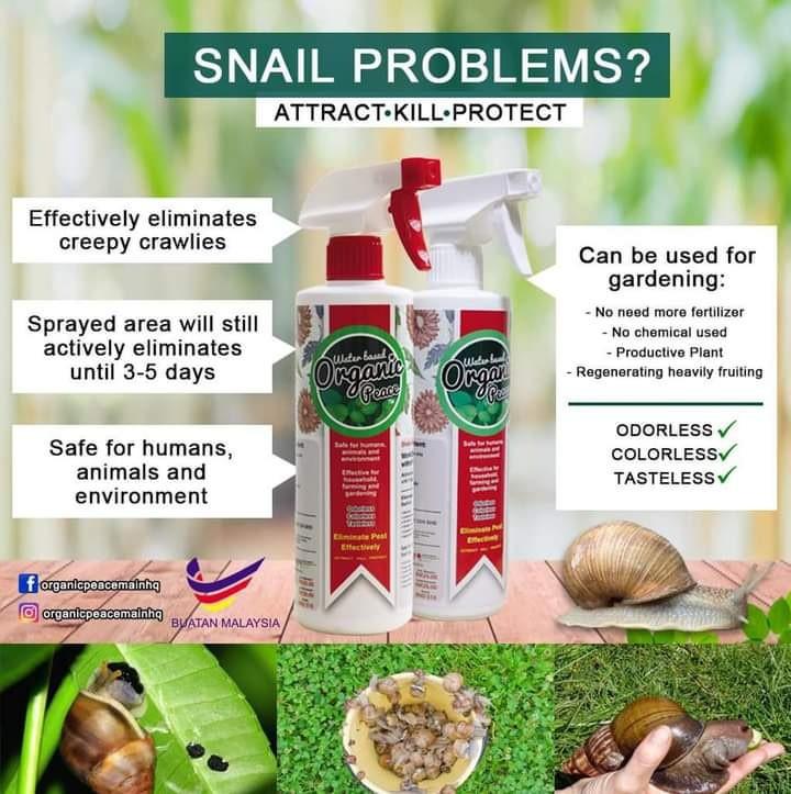 Organic Rid spray, Furniture & Home Living, Cleaning & Homecare ...