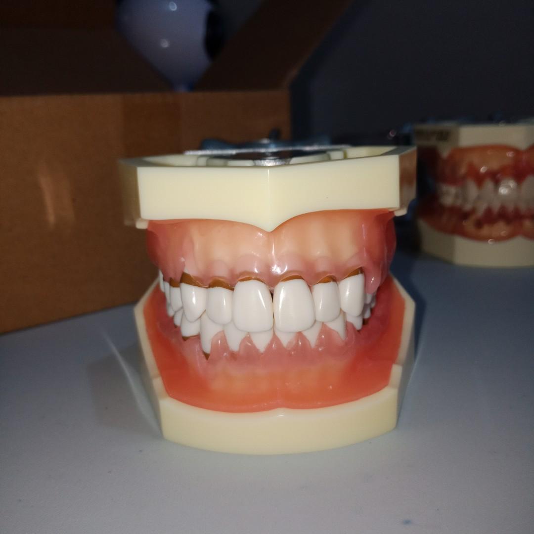 New Perio jaw model, Looking For on Carousell