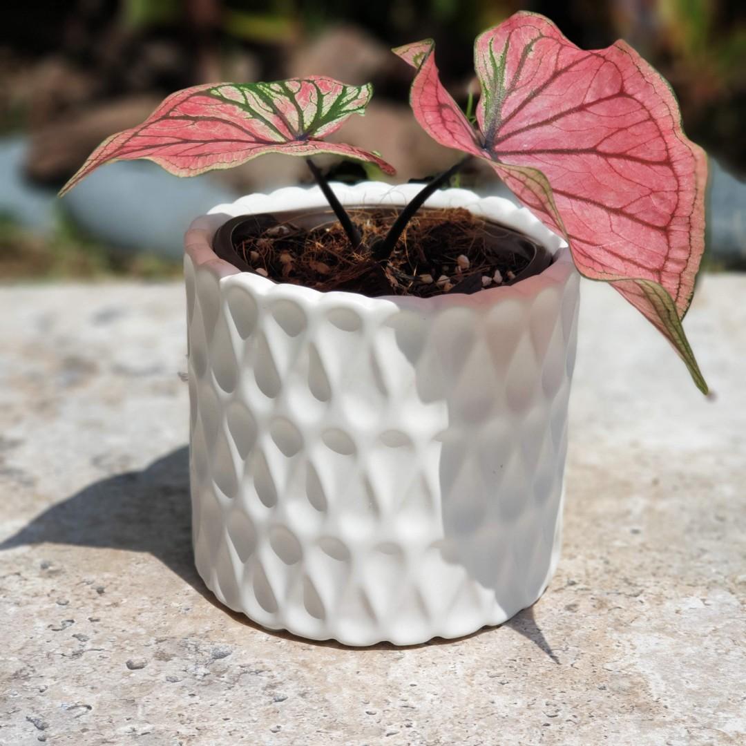 The Leaferie Dolomites ceramic planter . Plant pots . Flowerpot ...